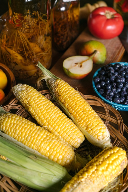 A Homesteader's Guide to Growing, Cooking, and Preserving Corn