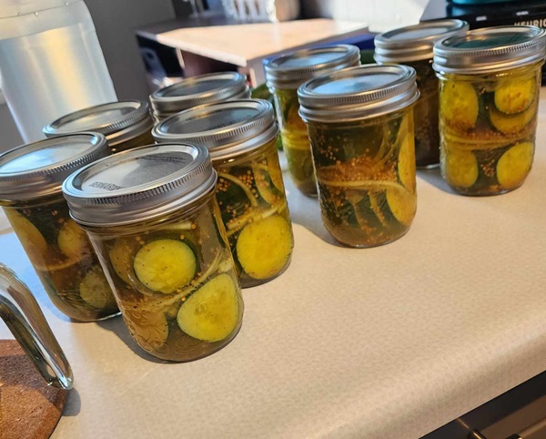 Homemade Bread and Butter Pickles Recipe - Rainy River Homesteaders