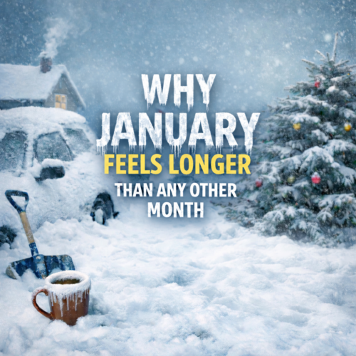 Why January Feels Longer Than Any Other Month - Rainy River Homesteaders